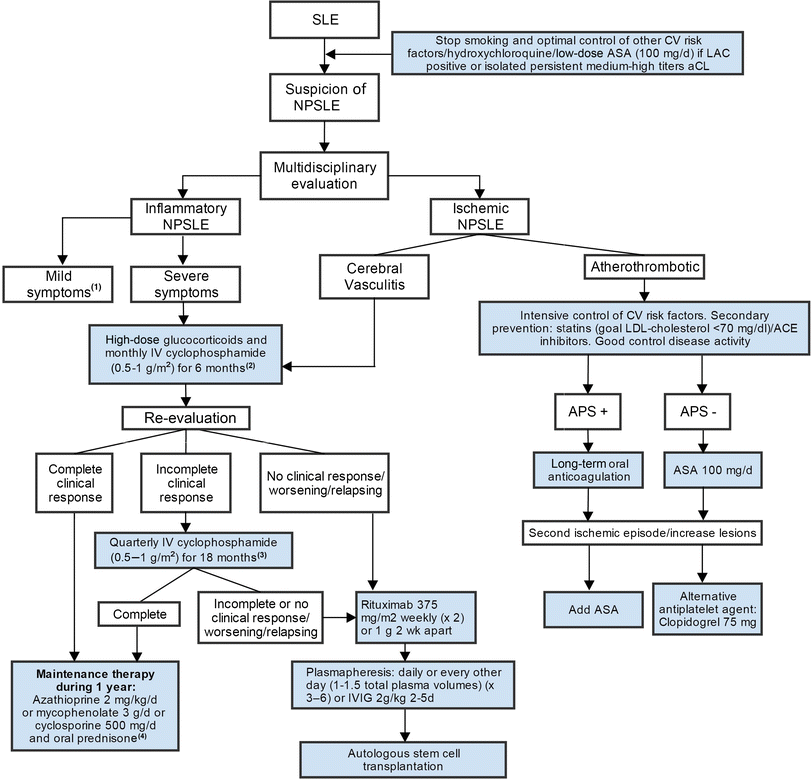 Management of Neuropsychiatric Systemic Lupus Erythematosus: Current ...