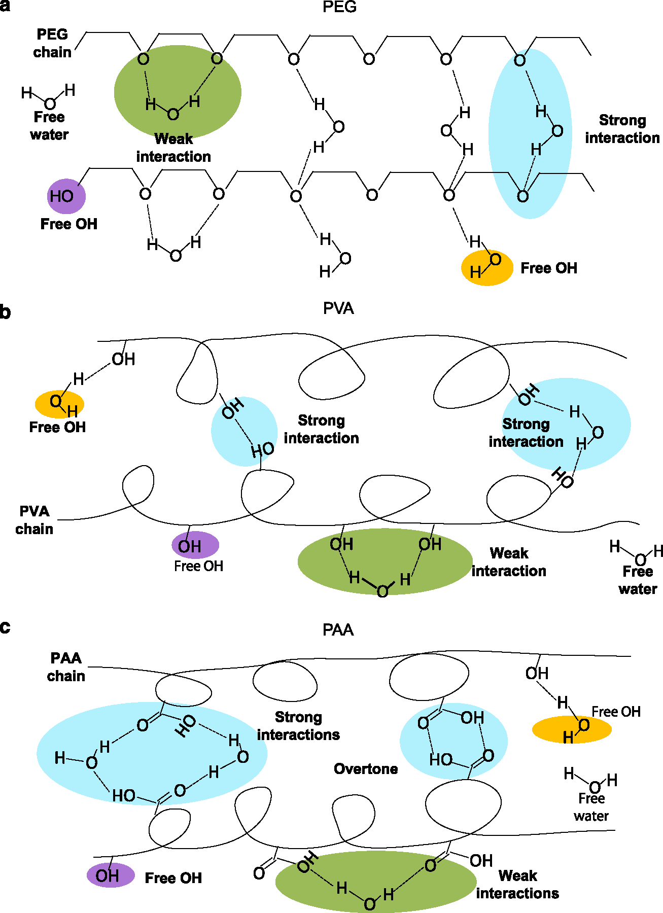 Effect of ultrasound on the aqueous viscosity of several water-soluble ...