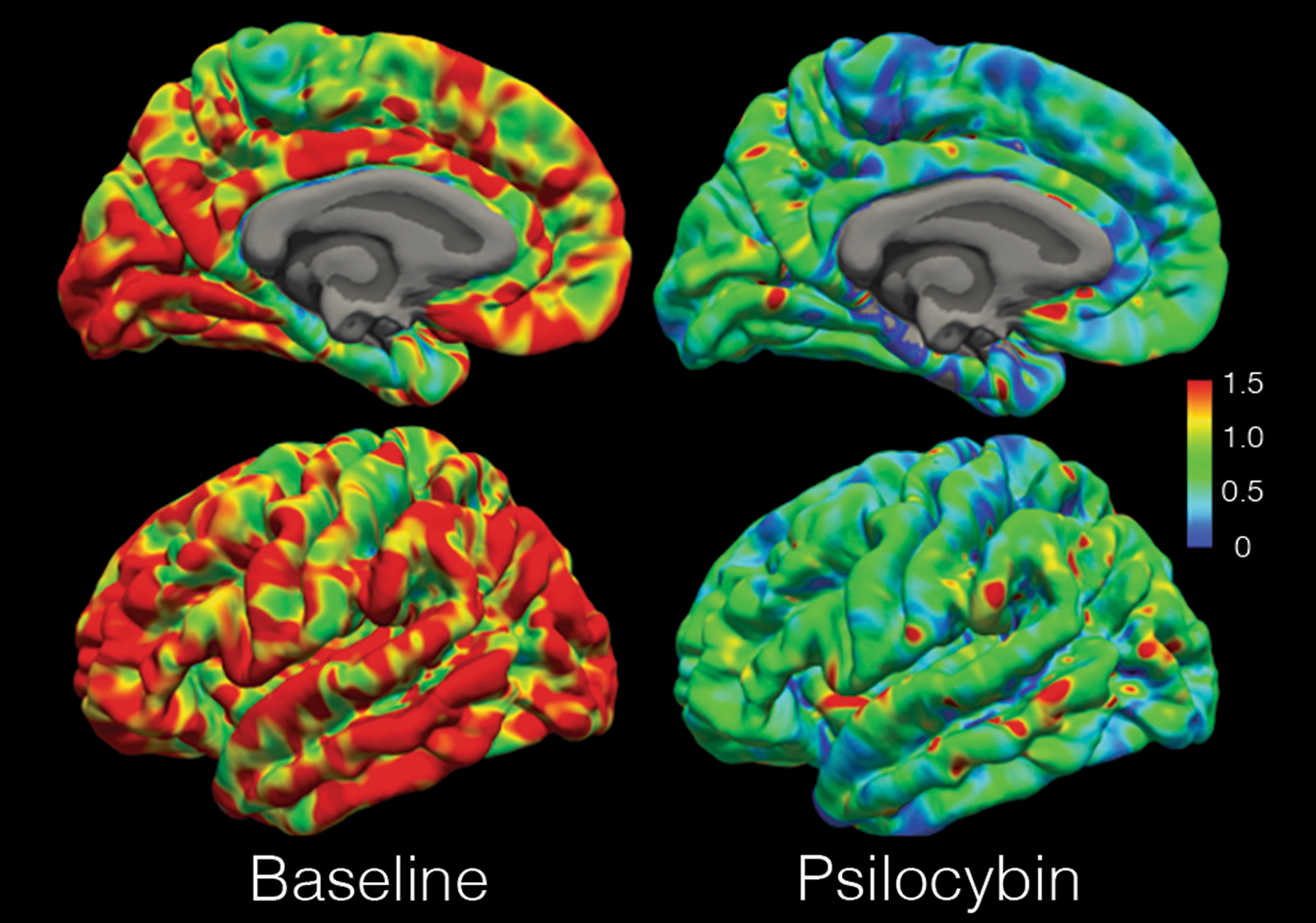 Correction: Psychedelic effects of psilocybin correlate with serotonin ...