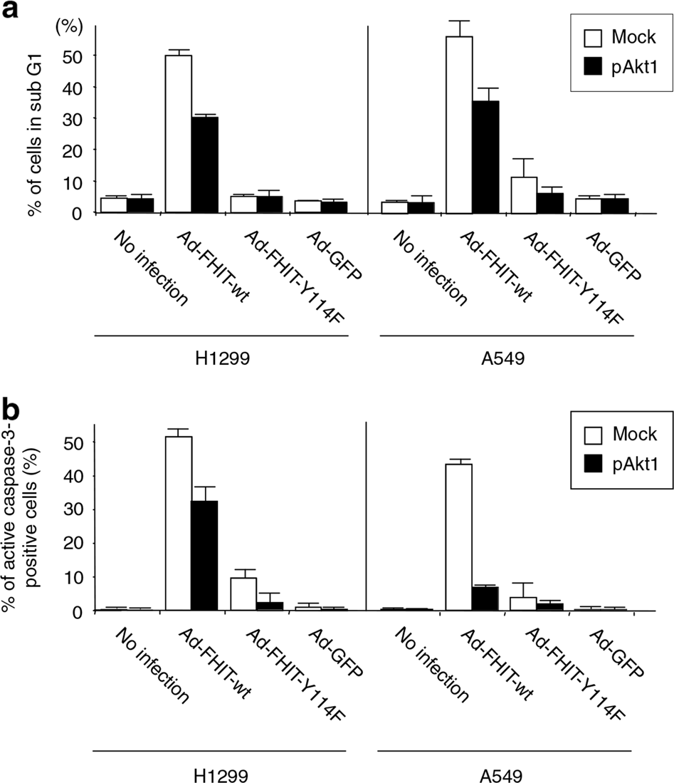 Correction: Fhit modulation of the Akt-survivin pathway in lung cancer ...