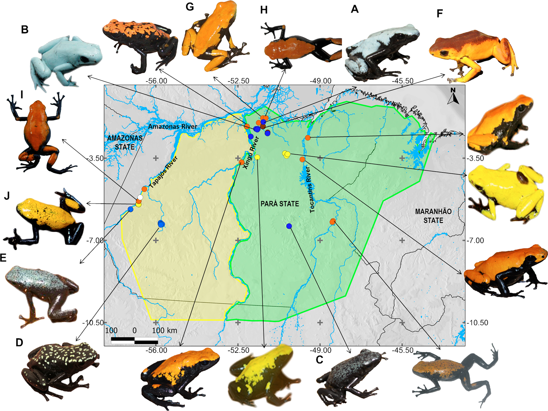 Poison Dart Frog Map
