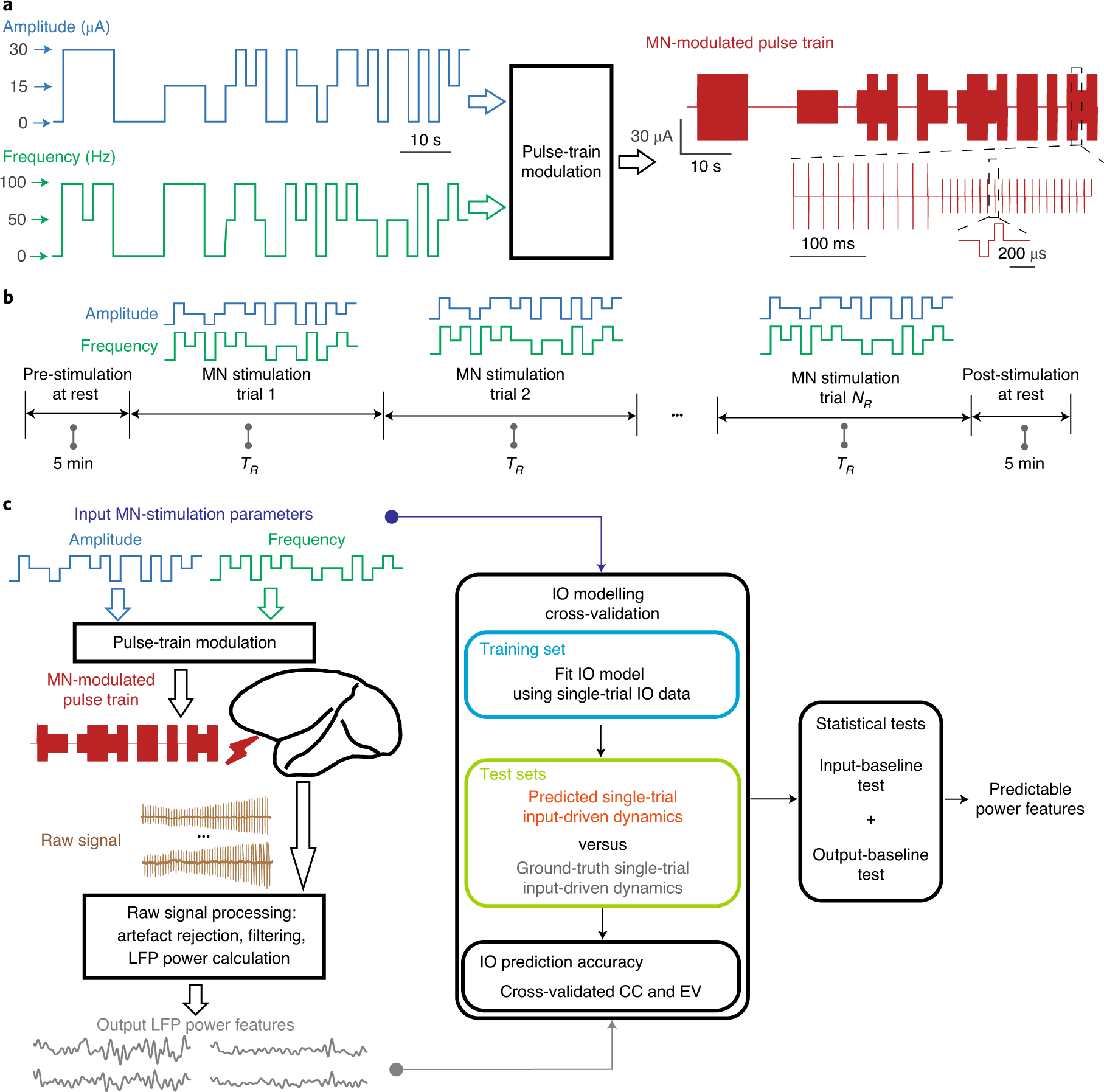 Modelling And Prediction Of The Dynamic Responses Of Large Scale Brain