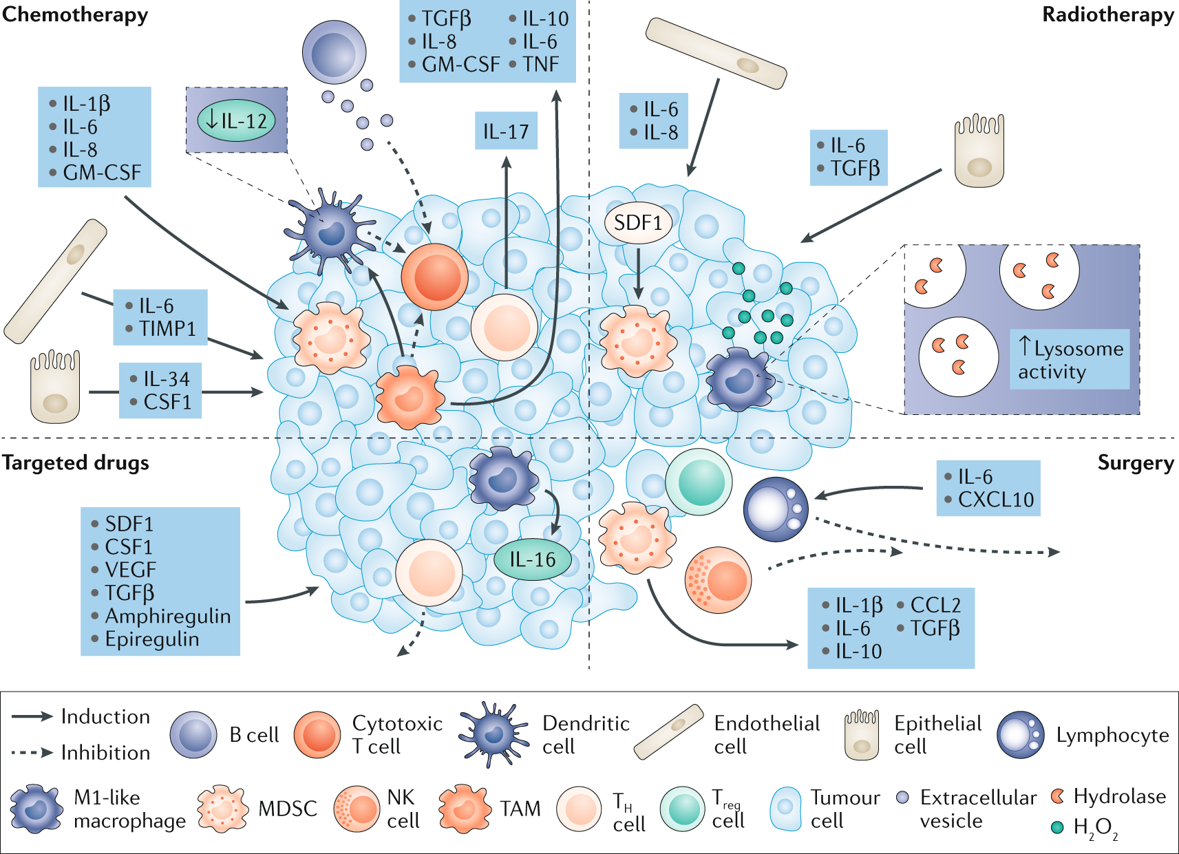 Cancer Cells News, Articles, Stories & Trends for Today
