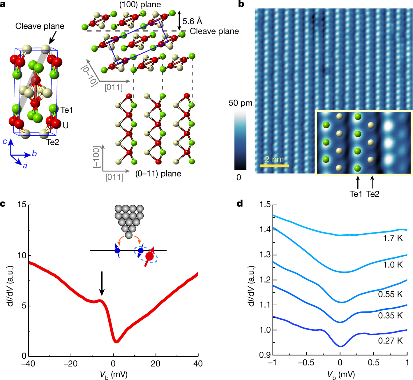 Chiral News, Articles, Stories & Trends for Today