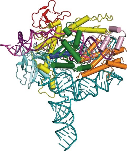 A new CRISPR scissor | Nature Chemical Biology