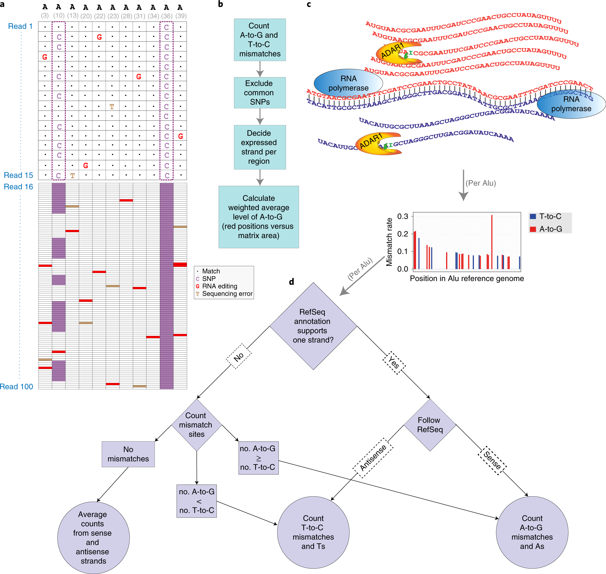 Flipboard Genome Wide Quantification Of Adar Adenosine To Inosine Rna Editing Ac