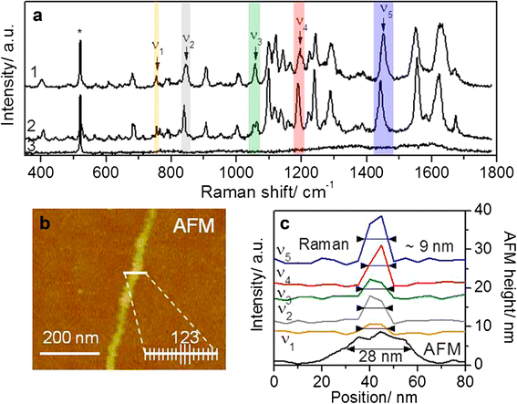 Tip-enhanced Raman spectroscopy: principles and applications | EPJ ...