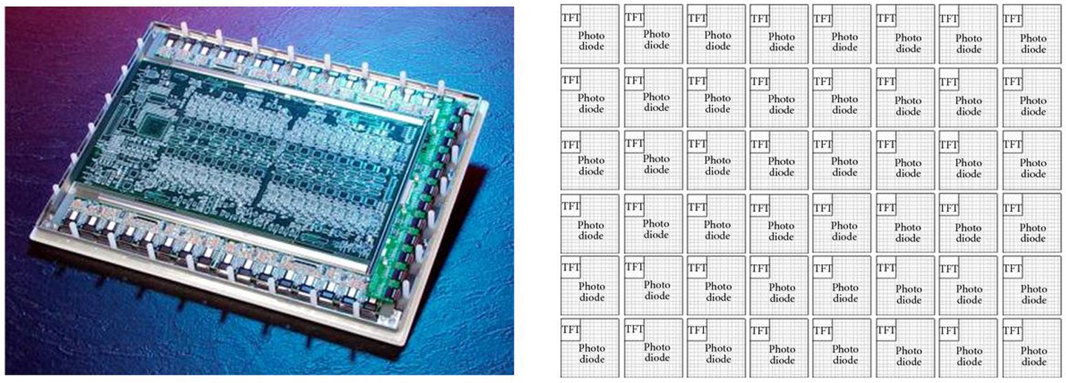 Digital Radiography Using Digital Detector Arrays Fulfills Critical ...