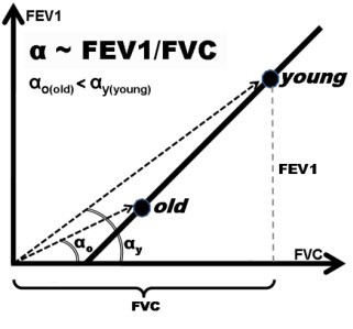 A mathematical reason for FEV1/FVC dependence on age | Respiratory ...