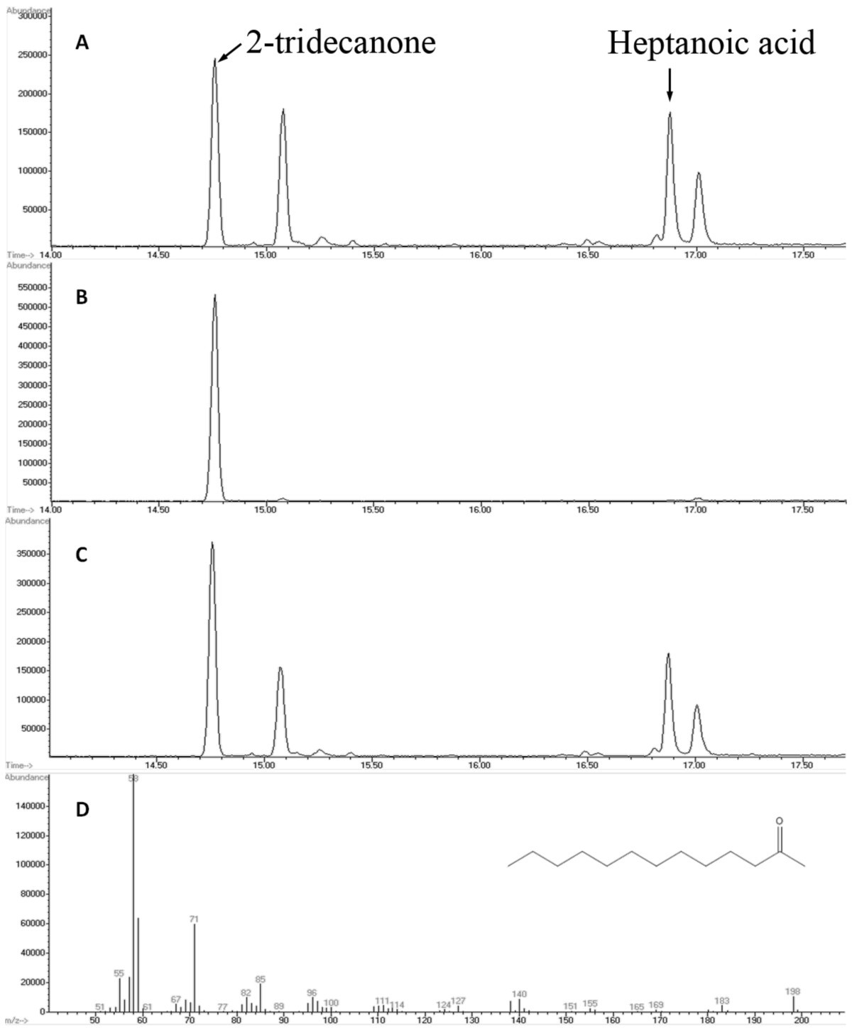Phylogenetic and experimental characterization of an acyl-ACP ...