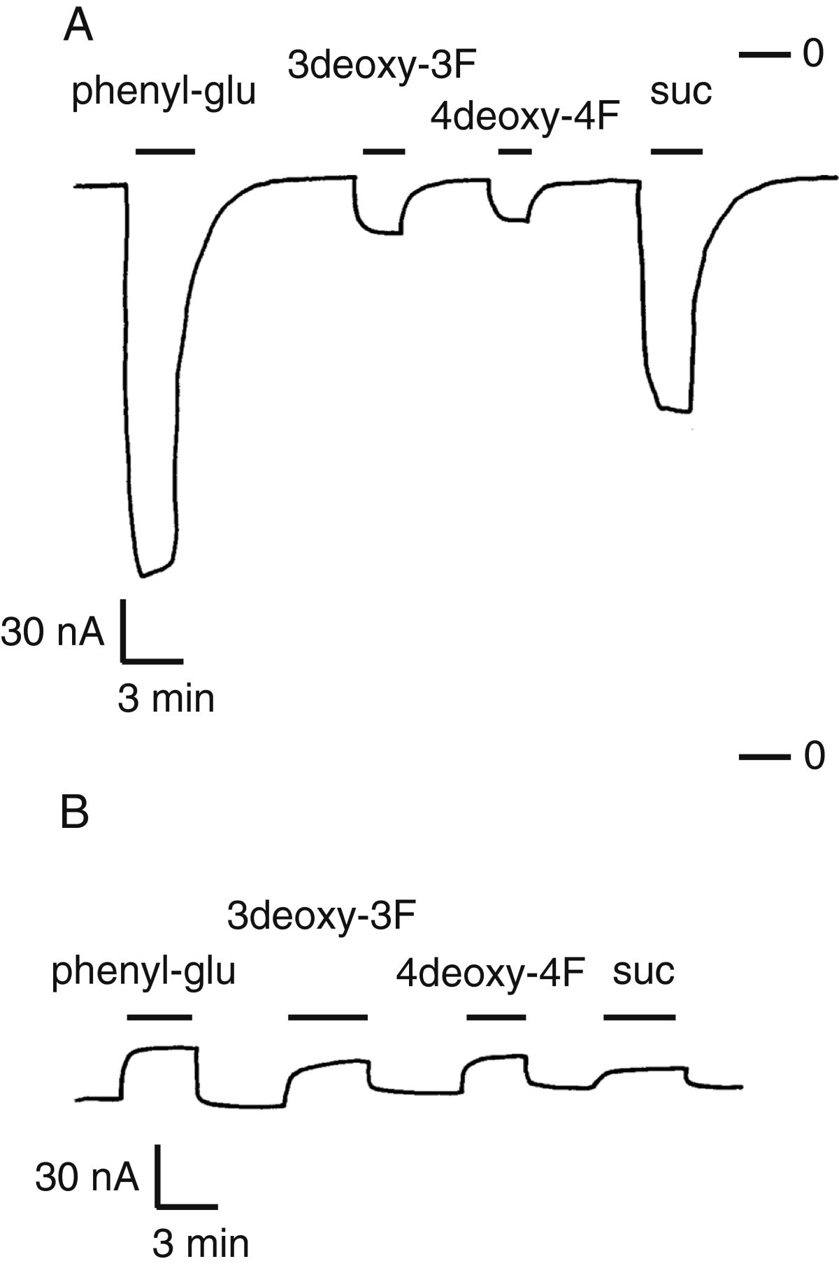 Arg188 in rice sucrose transporter OsSUT1 is crucial for substrate ...