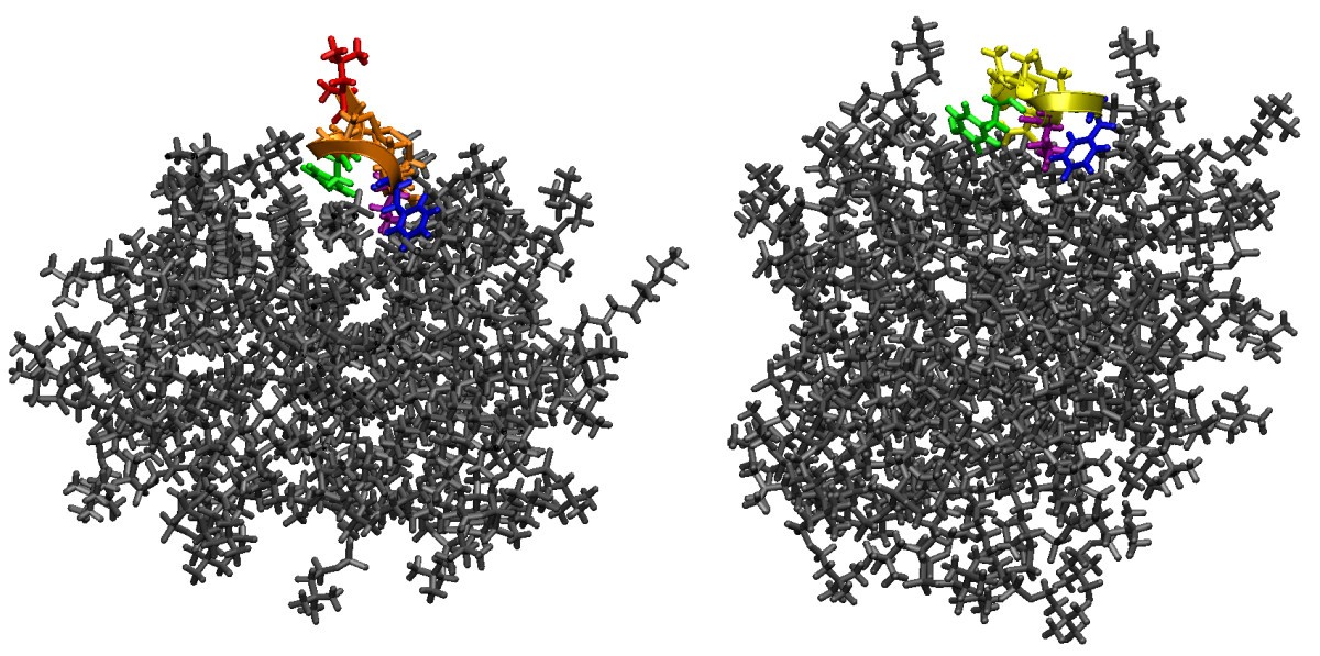 Comparison of interactions between beta-hairpin decapeptides and SDS ...
