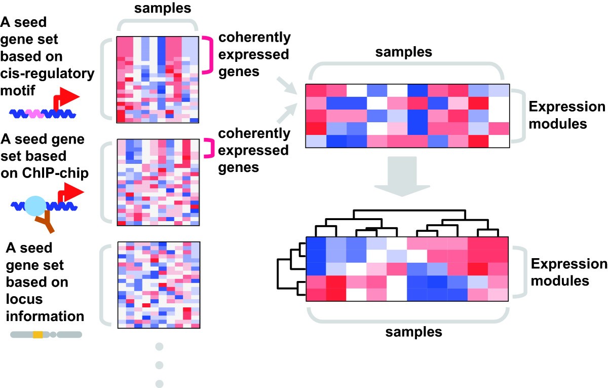 Gene set-based module discovery in the breast cancer transcriptome ...