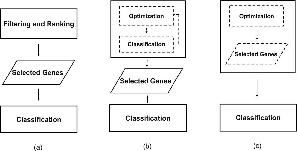 A multi-filter enhanced genetic ensemble system for gene selection and sample classification of ...
