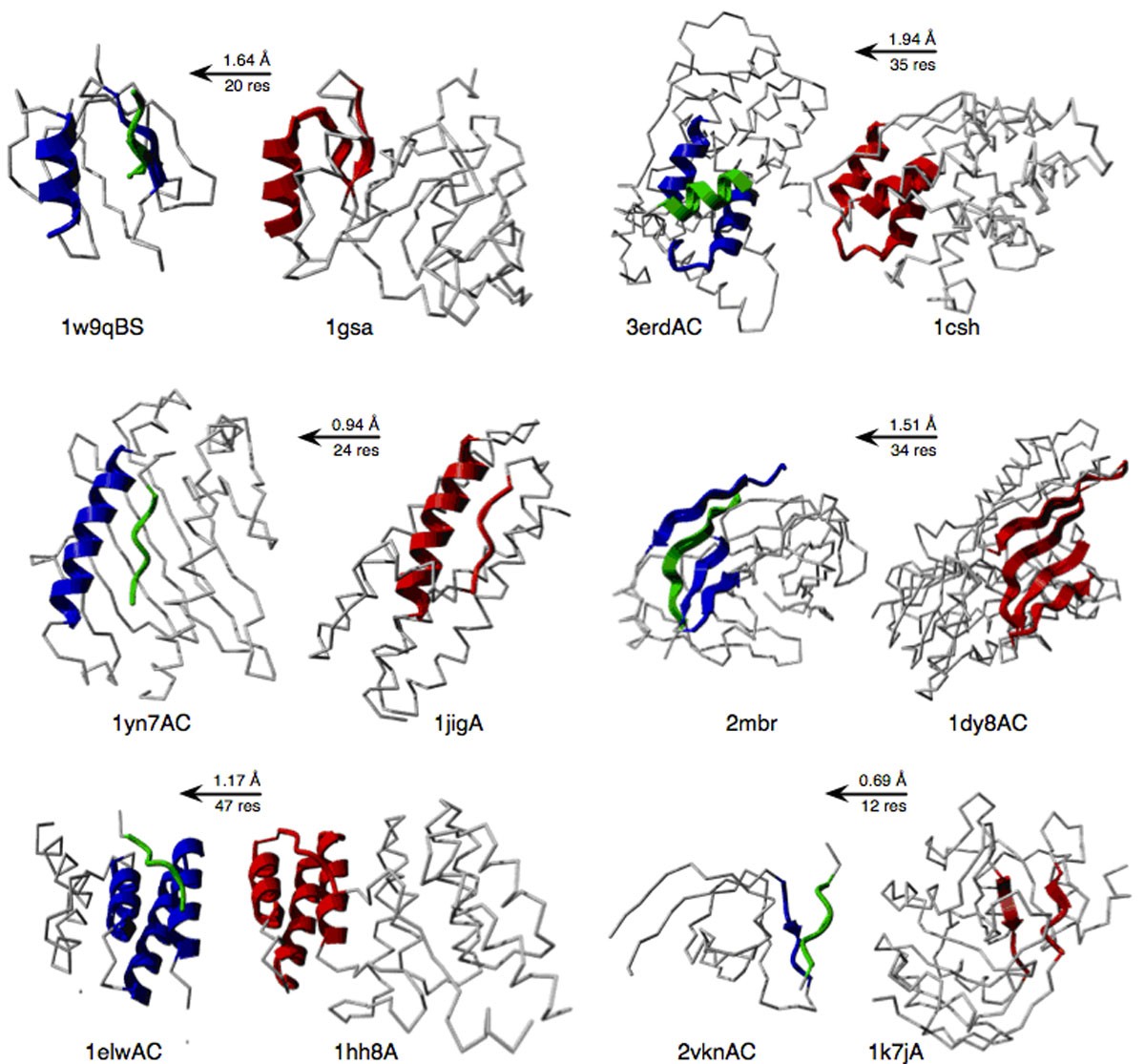 Modeling protein-peptide interactions using protein fragments: fitting the pieces? | BMC ...