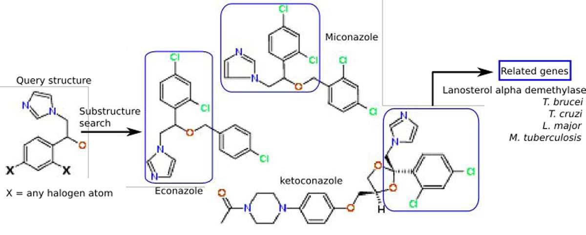 Designing And Implementing Chemoinformatic Approaches In Tdr Targets