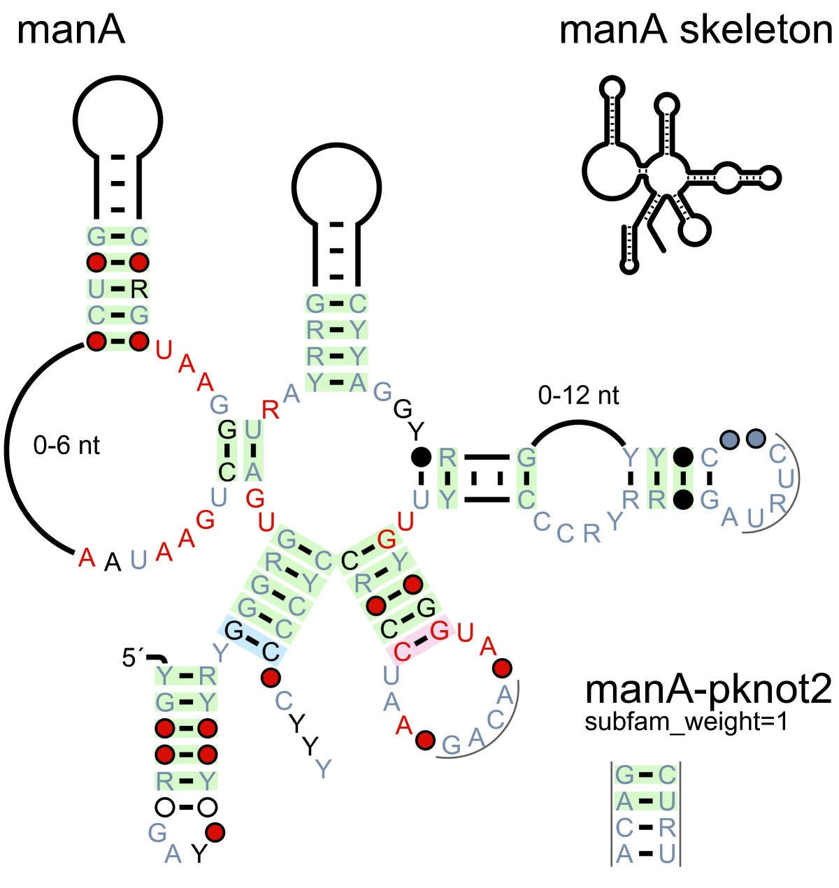 R2R - software to speed the depiction of aesthetic consensus RNA ...