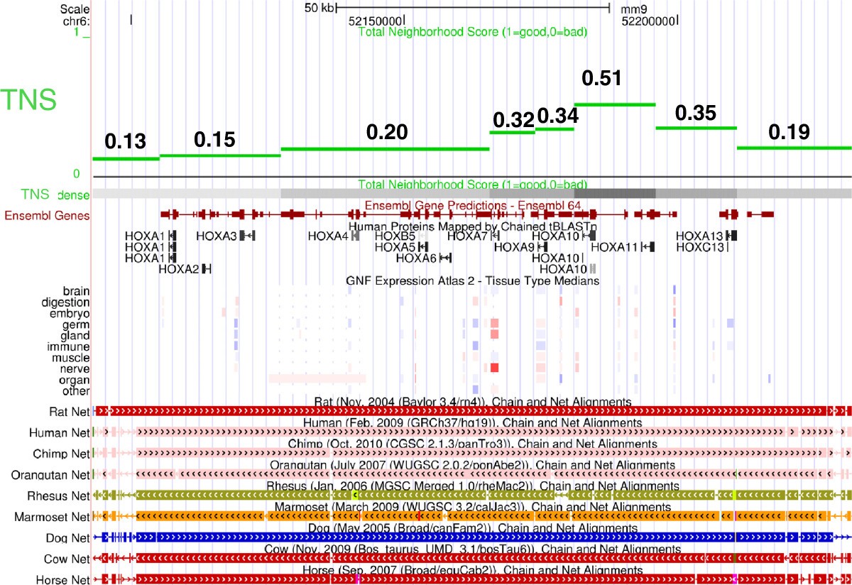 G-NEST: a gene neighborhood scoring tool to identify co-conserved, co ...