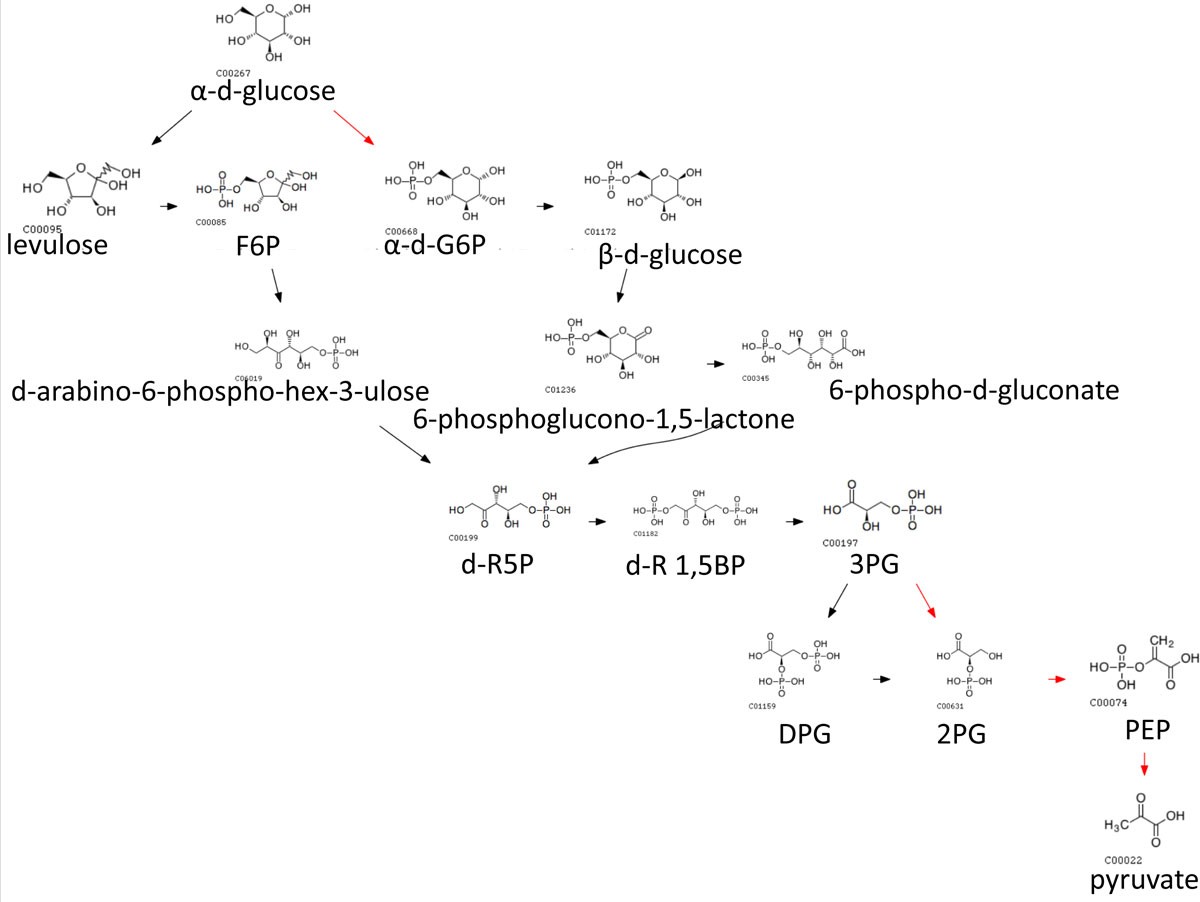 CMPF: Class-switching minimized pathfinding in metabolic networks | BMC Bioinformatics | Full Text