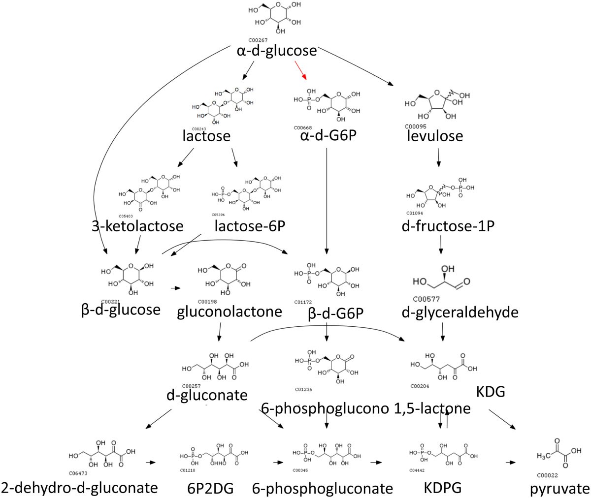 CMPF: Class-switching minimized pathfinding in metabolic networks | BMC Bioinformatics | Full Text