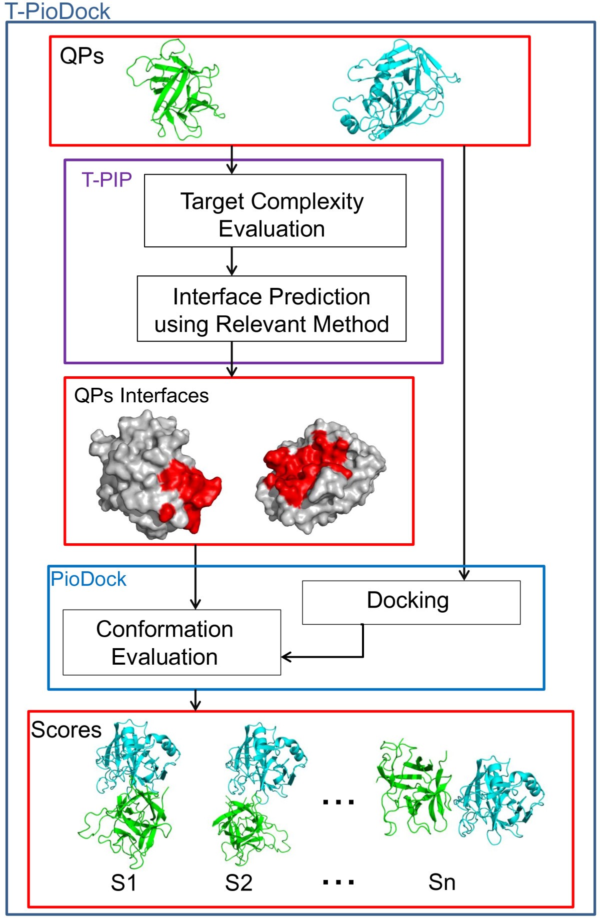 Scoring docking conformations using predicted protein interfaces | BMC ...