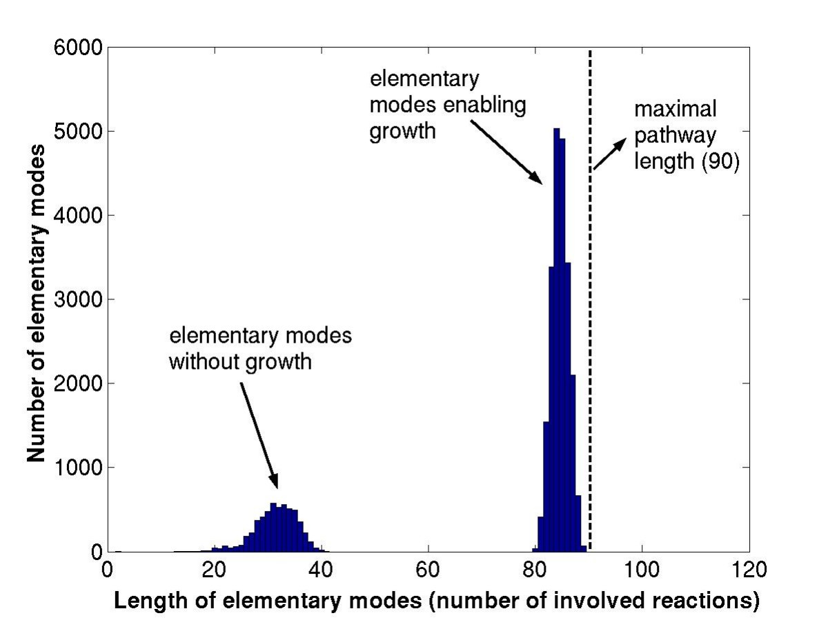 Computation of elementary modes: a unifying framework and the new binary approach | BMC ...