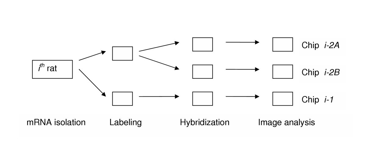 Sources of variation in Affymetrix microarray experiments | BMC Bioinformatics | Full Text