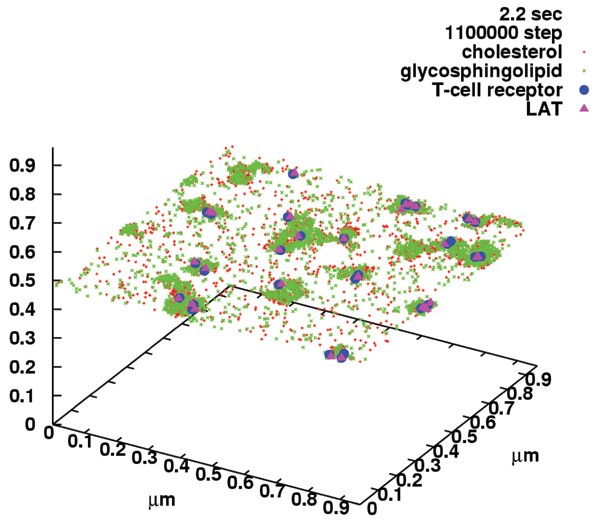 Particle simulation approach for subcellular dynamics and interactions ...