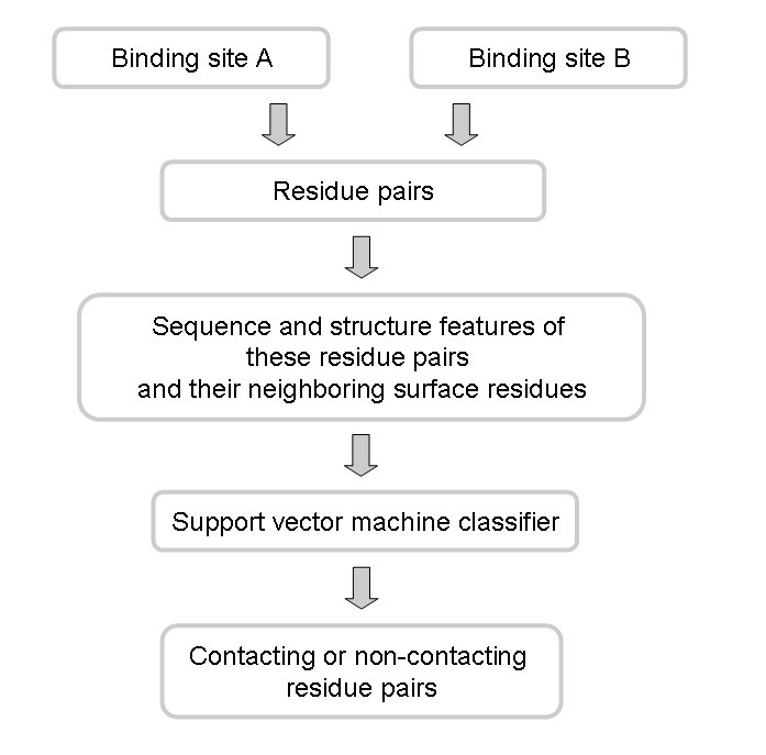 High-throughput identification of interacting protein-protein binding ...
