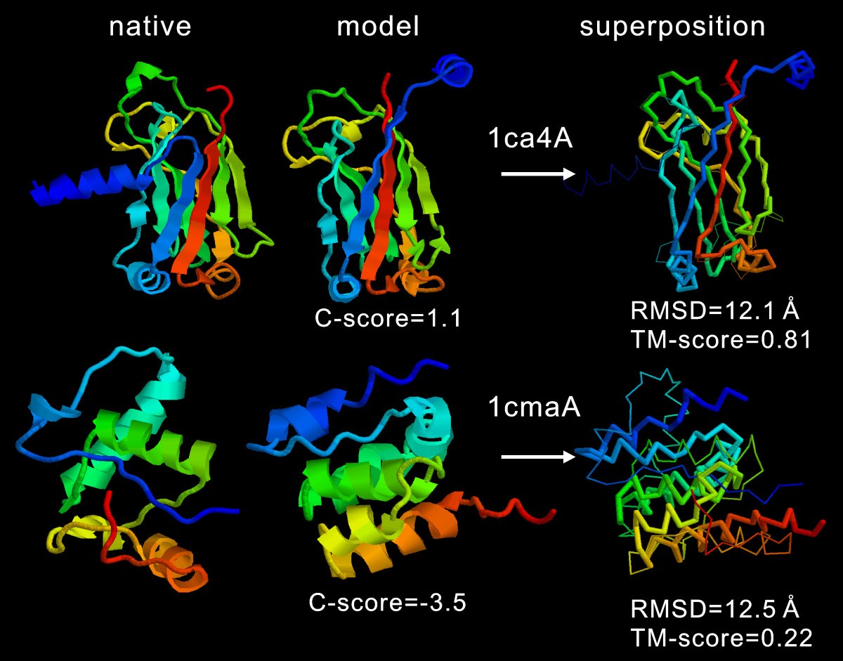 I-TASSER server for protein 3D structure prediction | BMC ...