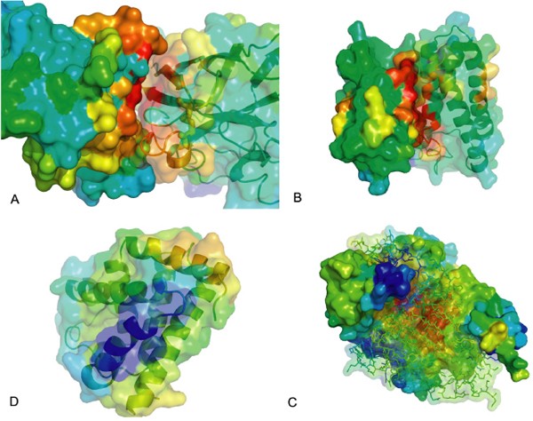 Competition between protein aggregation and protein complex formation ...