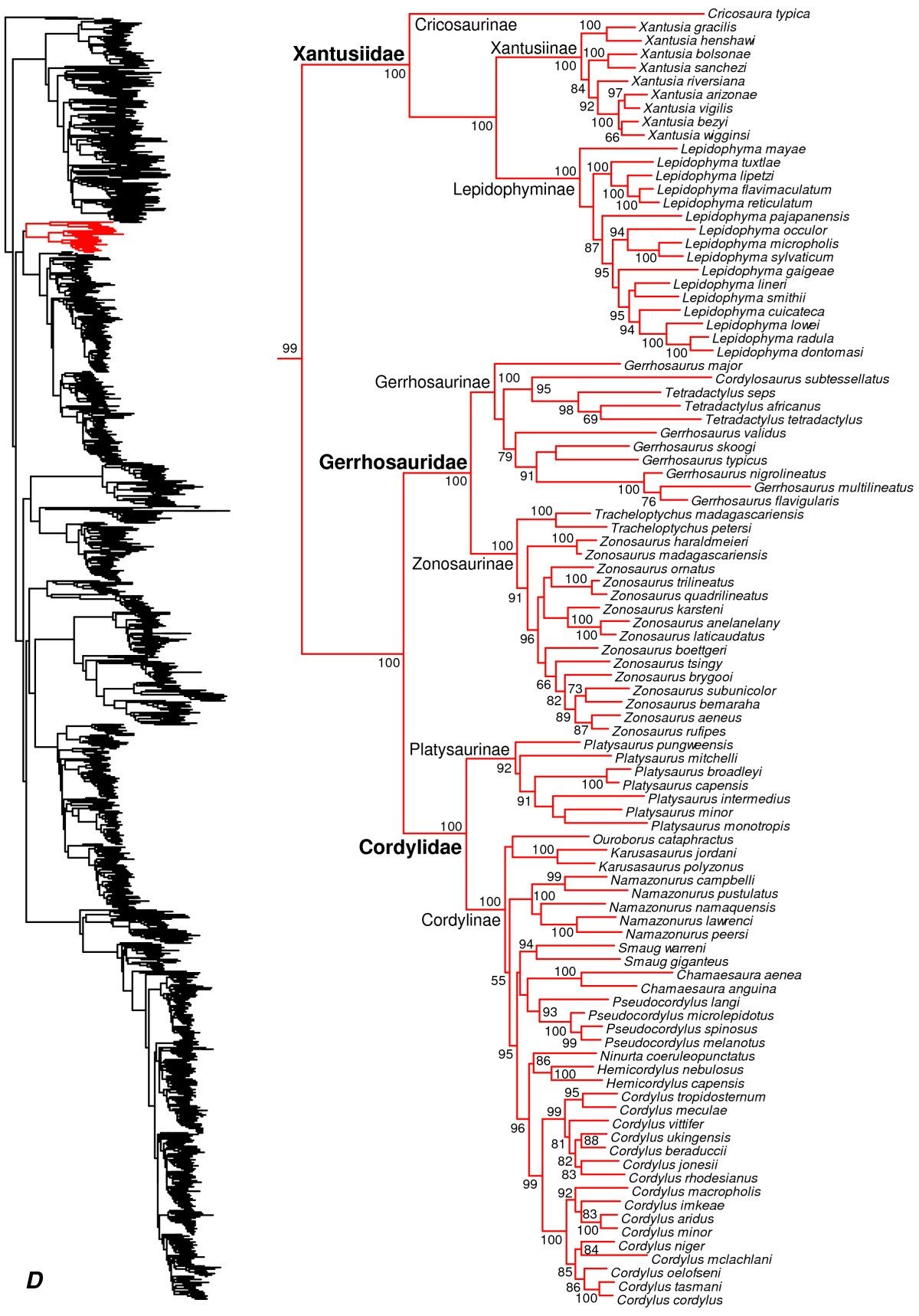 A phylogeny and revised classification of Squamata, including 4161 ...