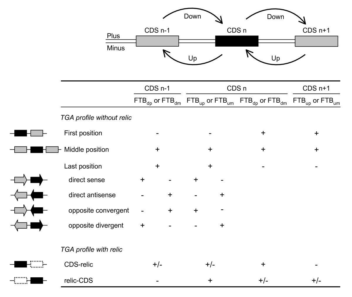 Genome-wide computational prediction of tandem gene arrays: application ...