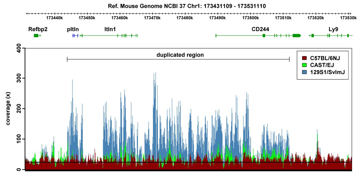 Strain-specific copy number variation in the intelectin locus on the ...