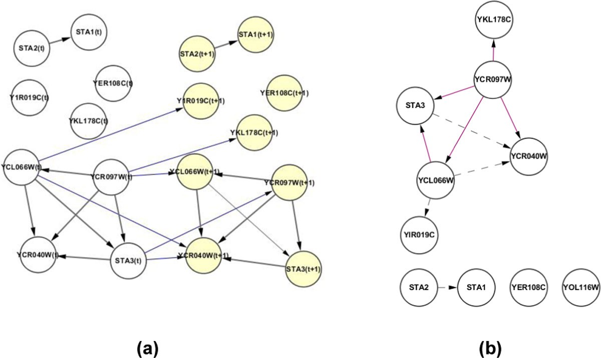 Learning the structure of gene regulatory networks from time series ...