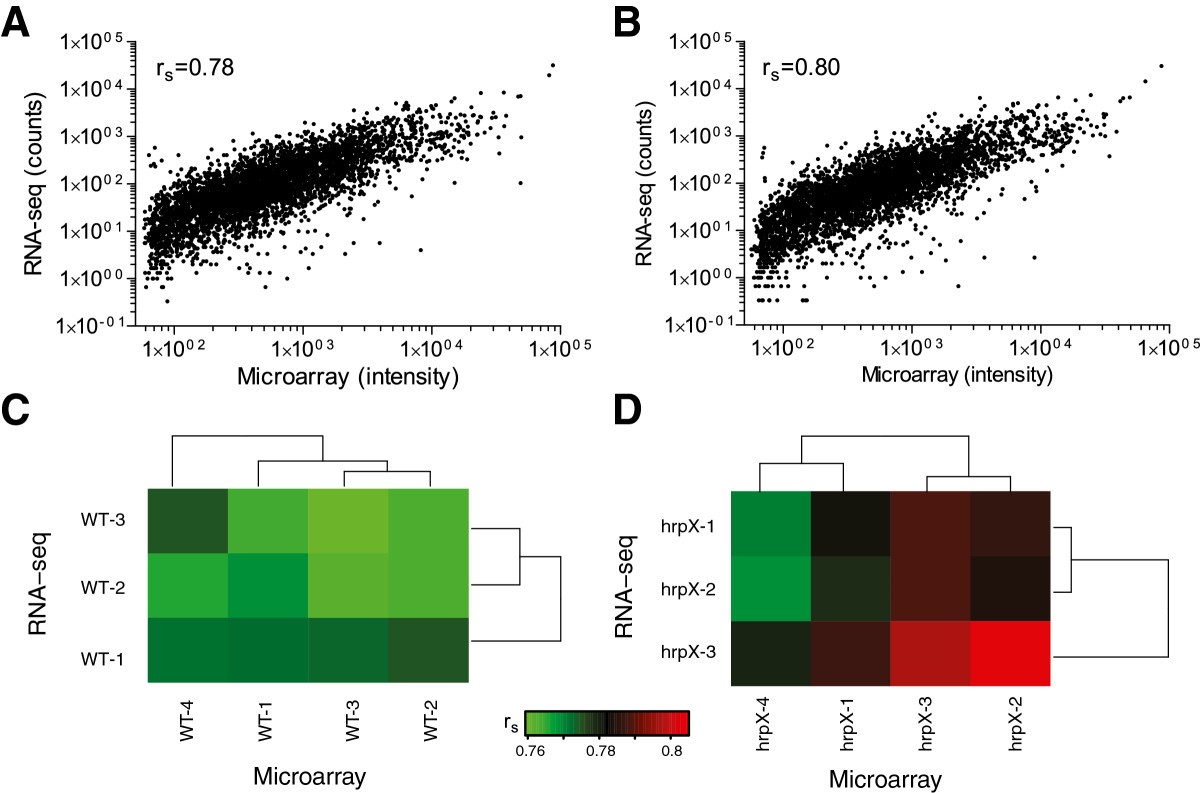 RNA-seq and microarray complement each other in transcriptome profiling ...