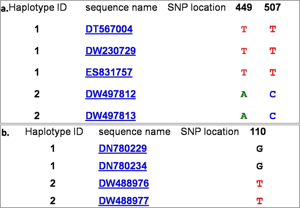 Development of EST-based SNP and InDel markers and their utilization in ...