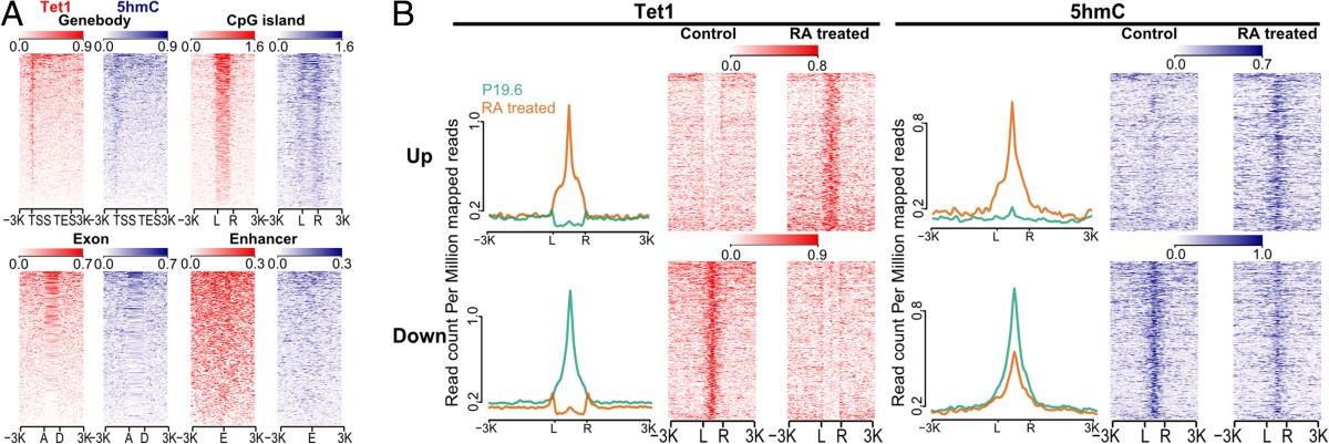 ngs.plot: Quick mining and visualization of next-generation sequencing ...