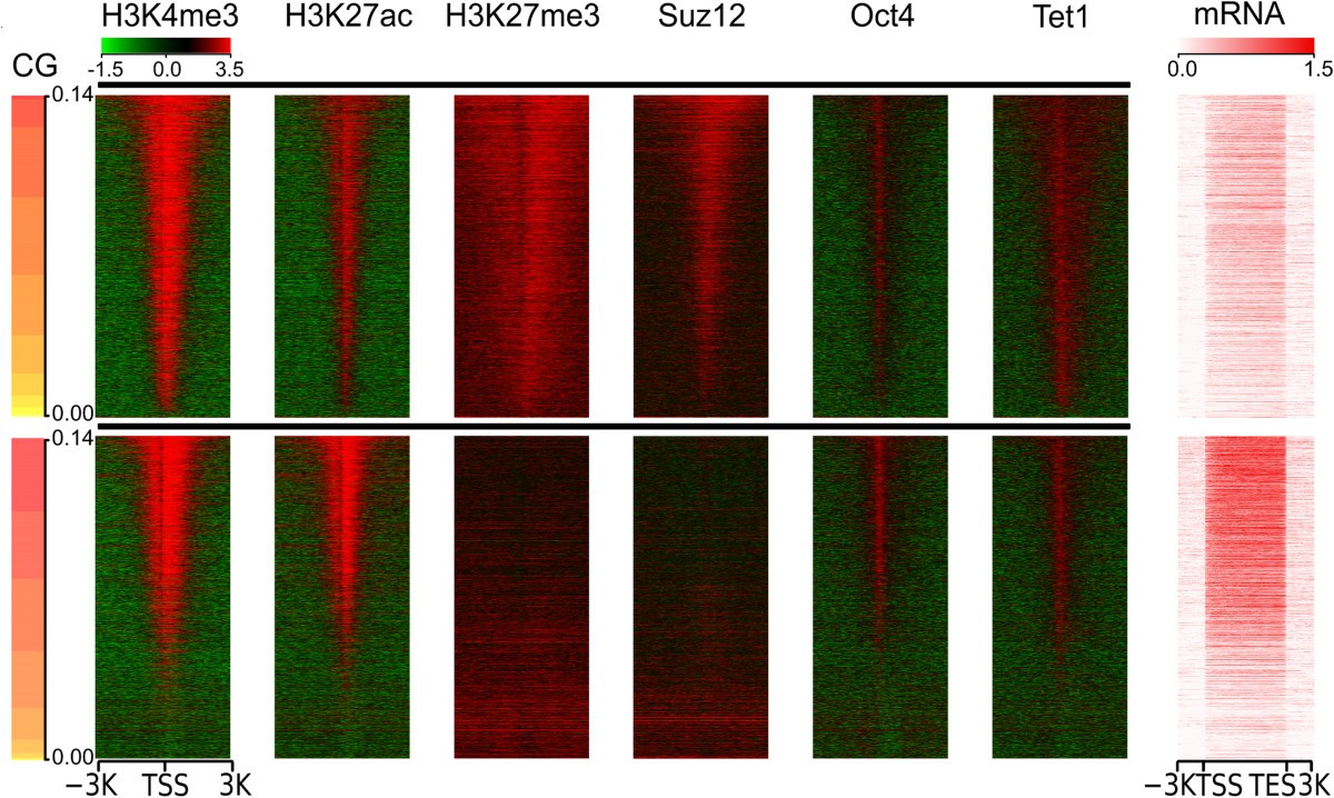 ngs.plot: Quick mining and visualization of next-generation sequencing data by integrating ...