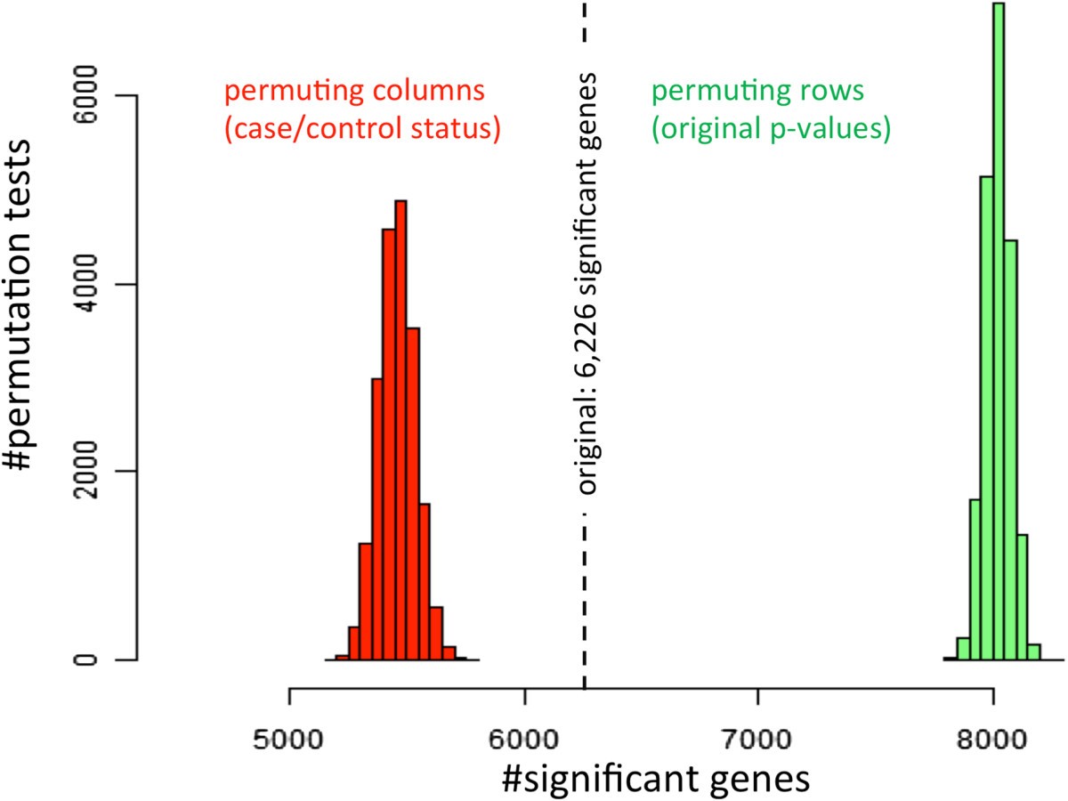 Systematic permutation testing in GWAS pathway analyses: identification ...