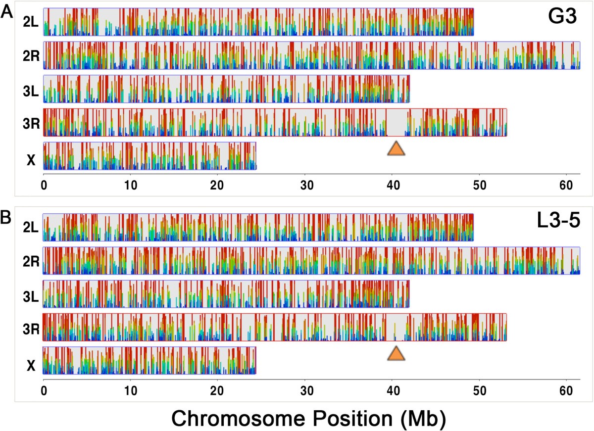 In depth annotation of the Anopheles gambiae mosquito midgut ...