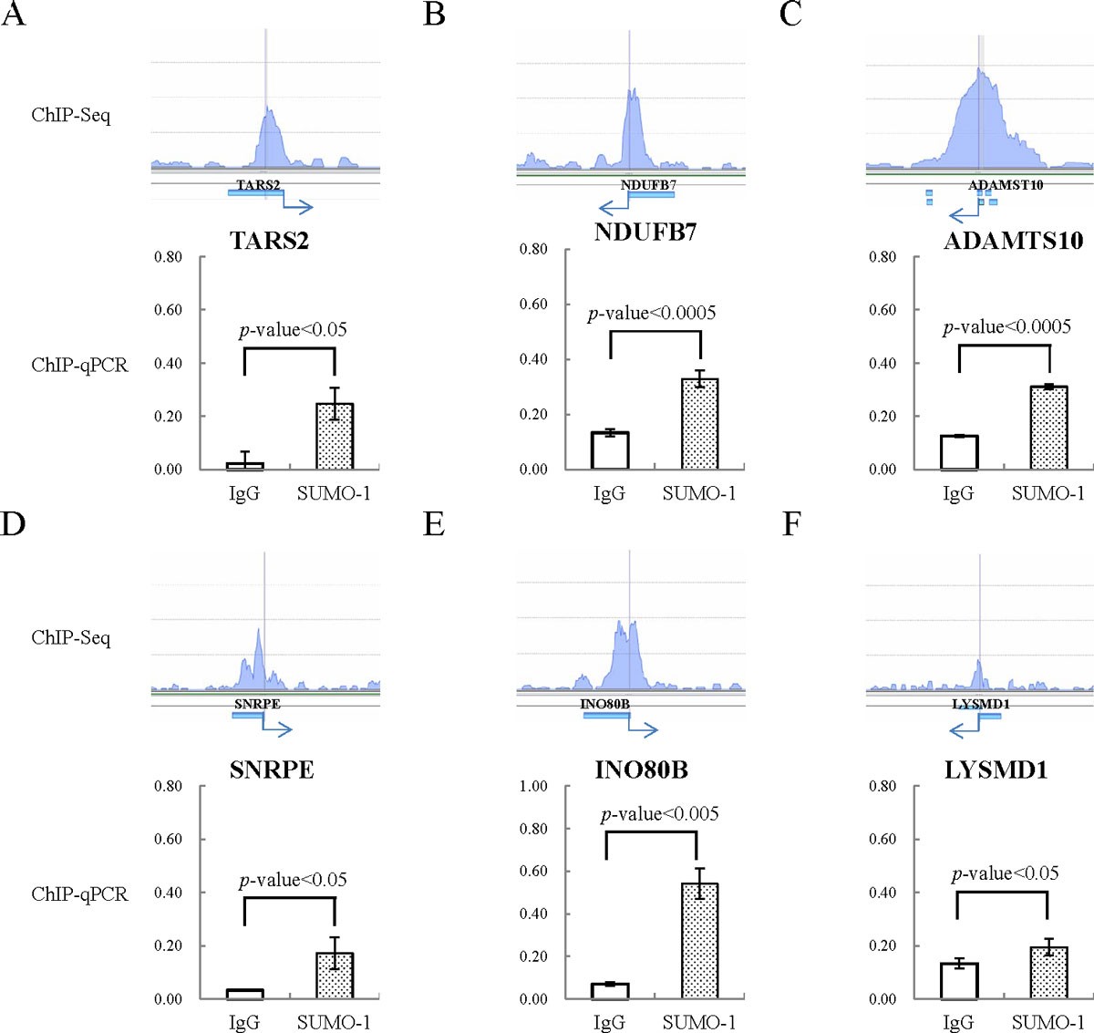 An improved ChIP-seq peak detection system for simultaneously ...