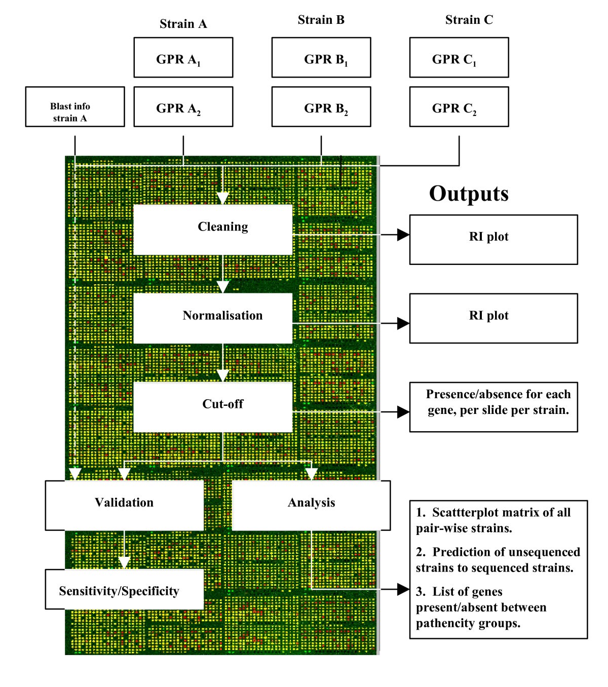 A process for analysis of microarray comparative genomics hybridisation studies for bacterial ...