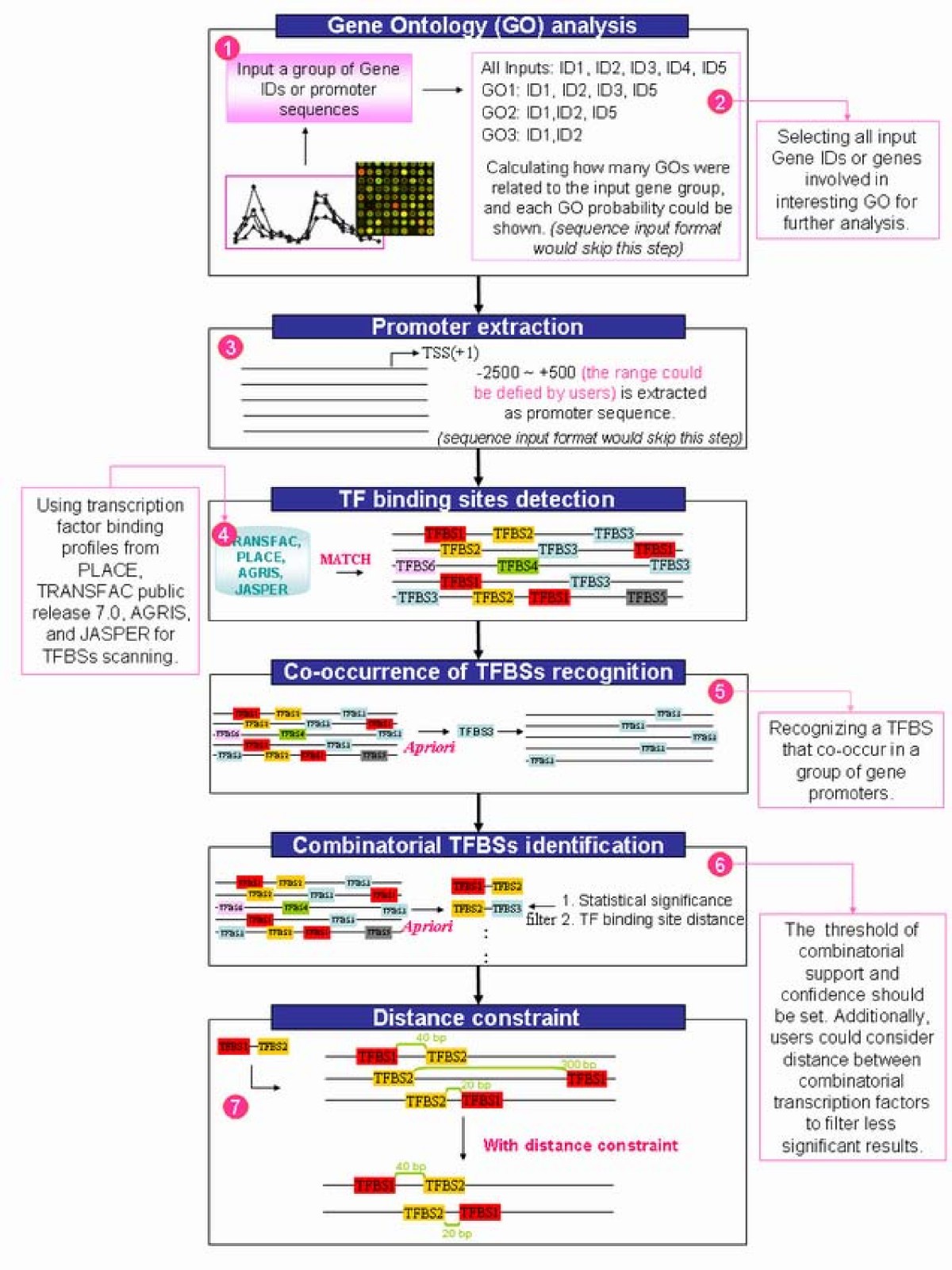 PlantPAN: Plant promoter analysis navigator, for identifying combinatorial cis-regulatory ...