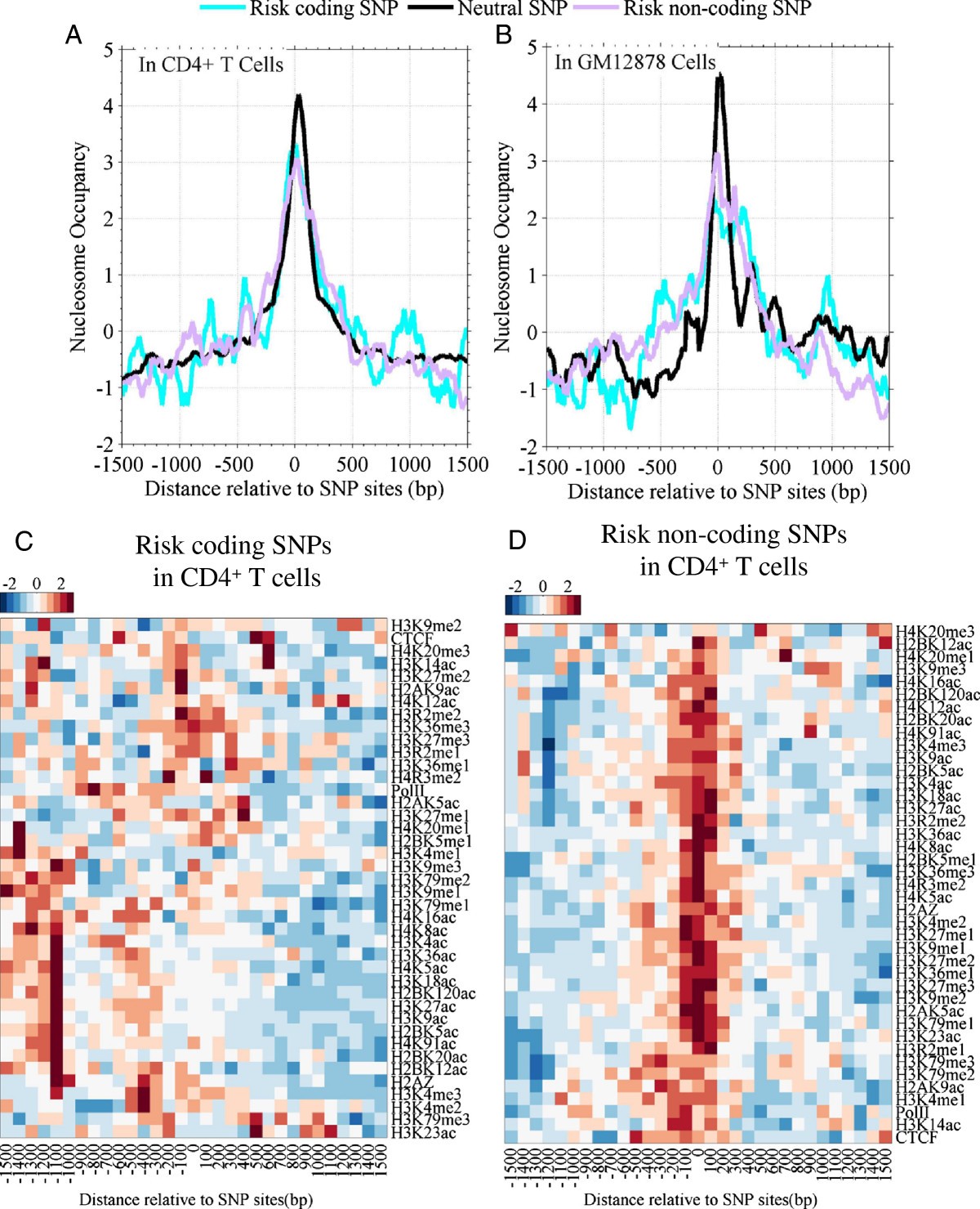 Chromatin structure is distinct between coding and non-coding single nucleotide polymorphisms ...