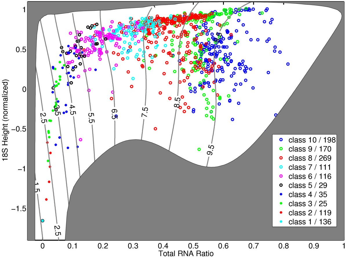 The RIN: an RNA integrity number for assigning integrity values to RNA ...