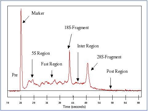 The RIN: an RNA integrity number for assigning integrity values to RNA ...