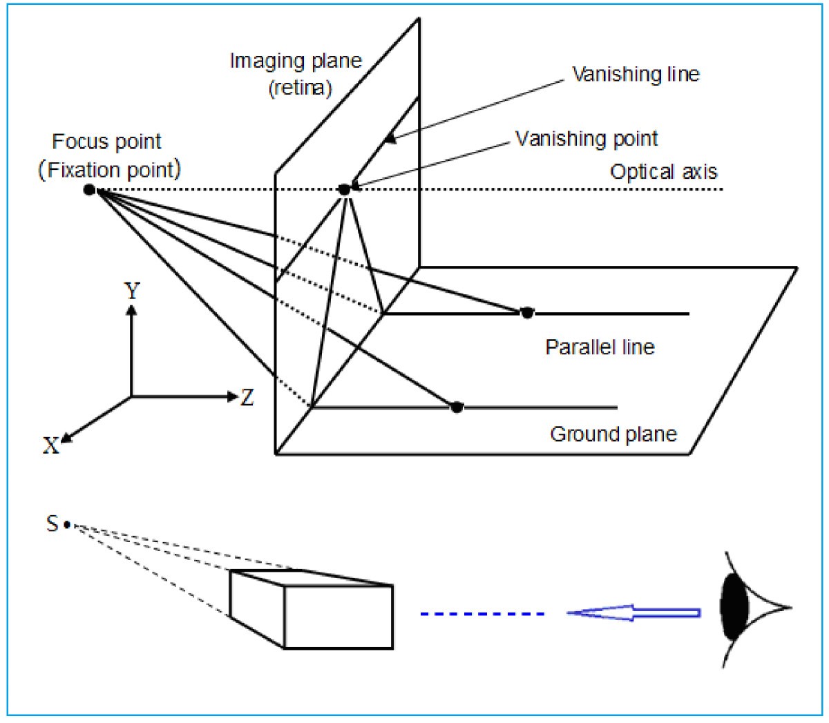 The representation of visual depth perception based on the plenoptic ...