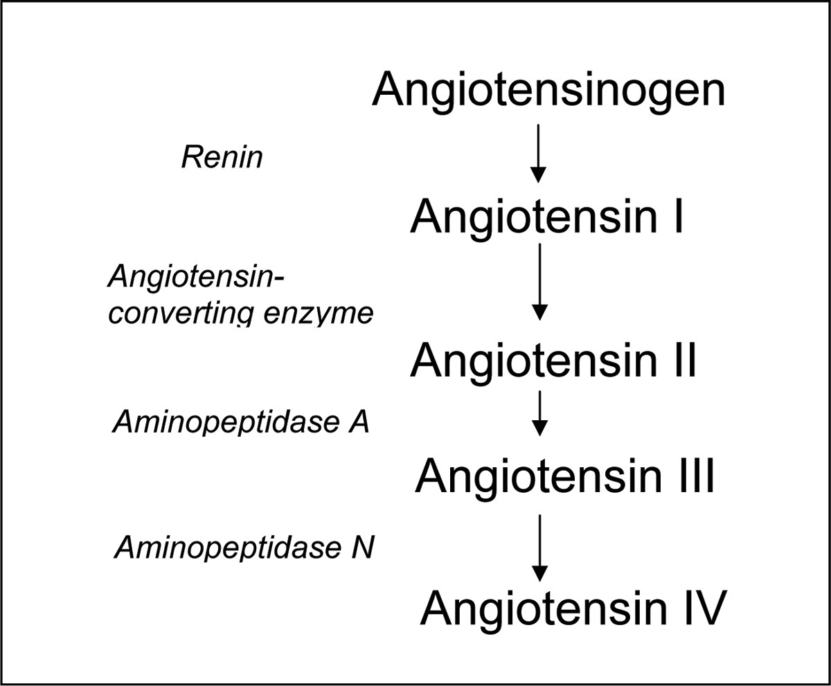 Cognitive-enhancing effects of angiotensin IV | BMC Neuroscience | Full ...