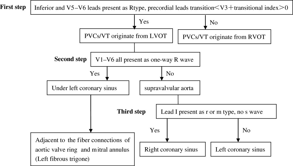 Electrocardiogram features of premature ventricular contractions ...